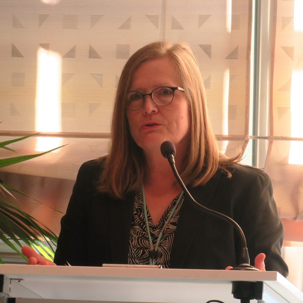 Insights from Policy Debate "Media Literacy and Digital Skills for ...